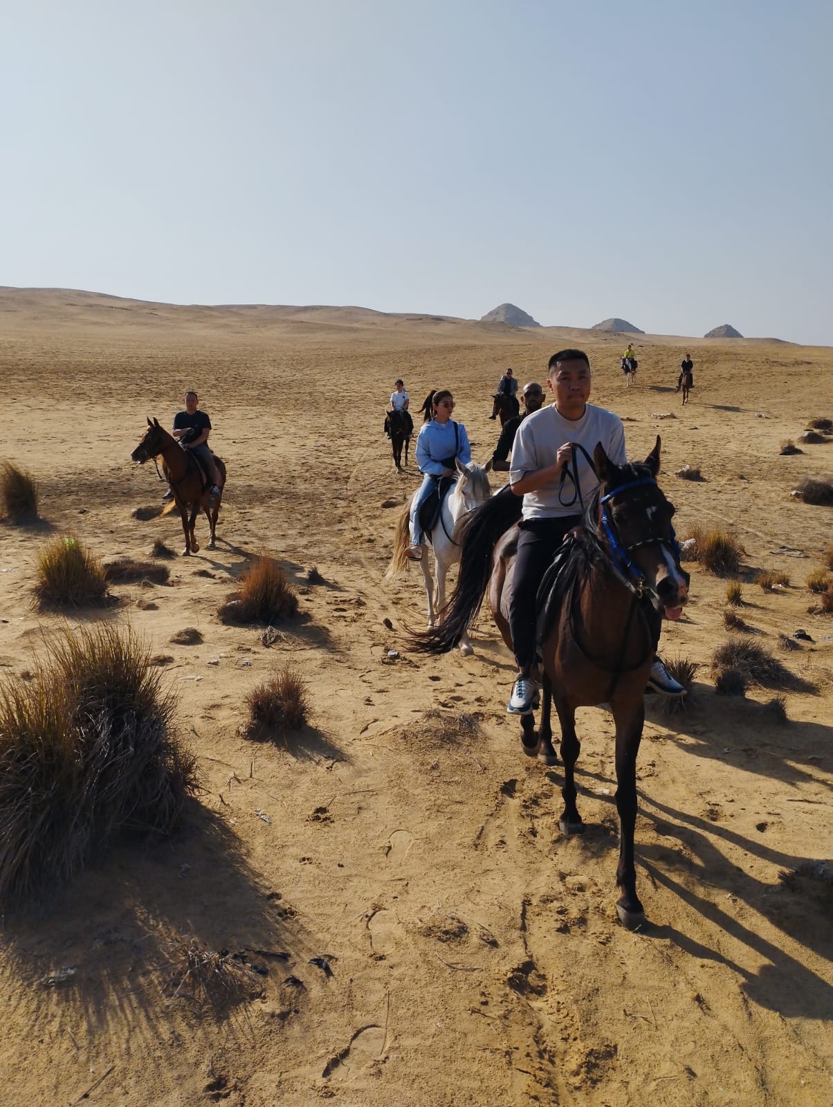 Cairo Horse Riding School – About us