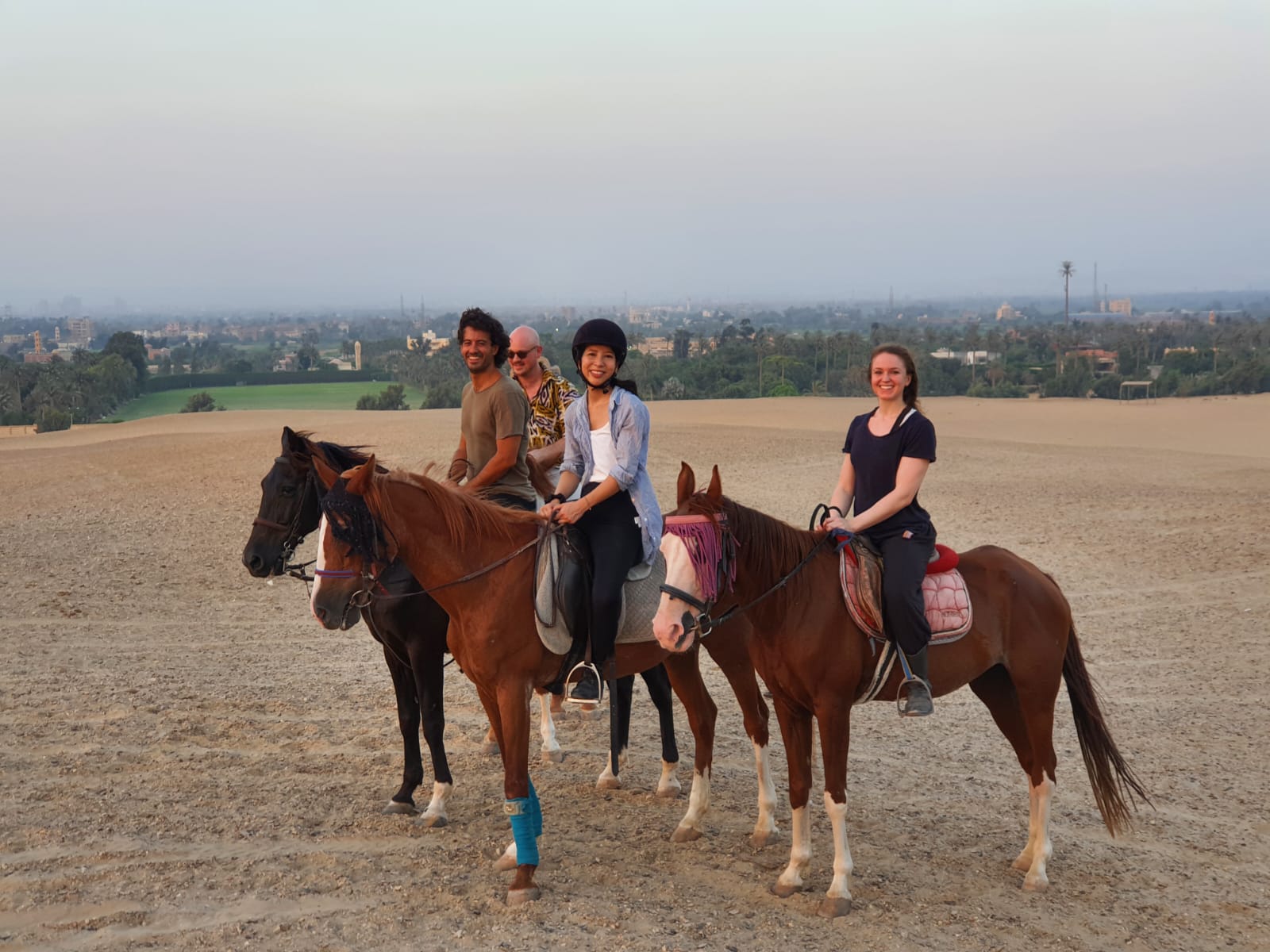 Cairo Horse Riding School – About us