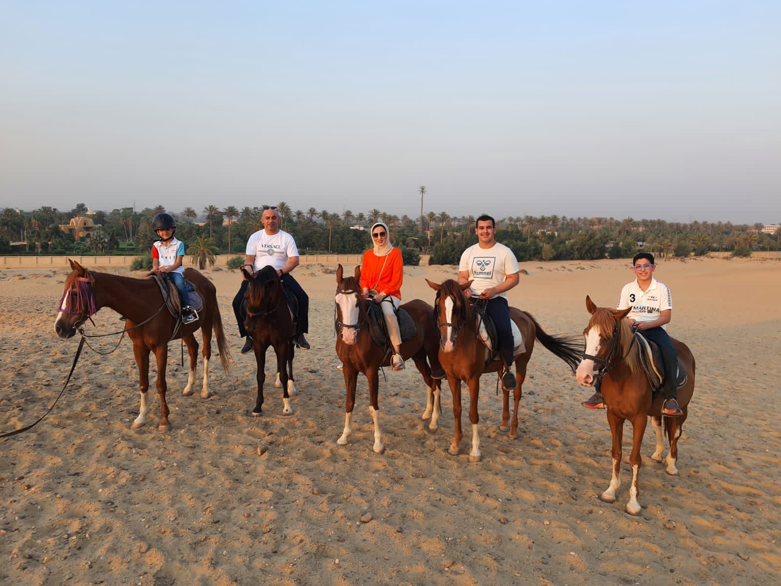 Cairo Horse Riding School – About us