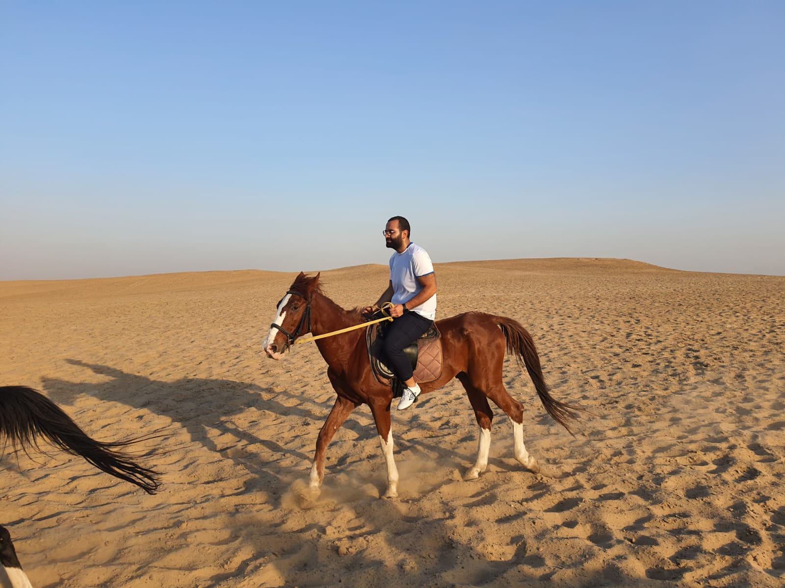 Cairo Horse Riding School – About us