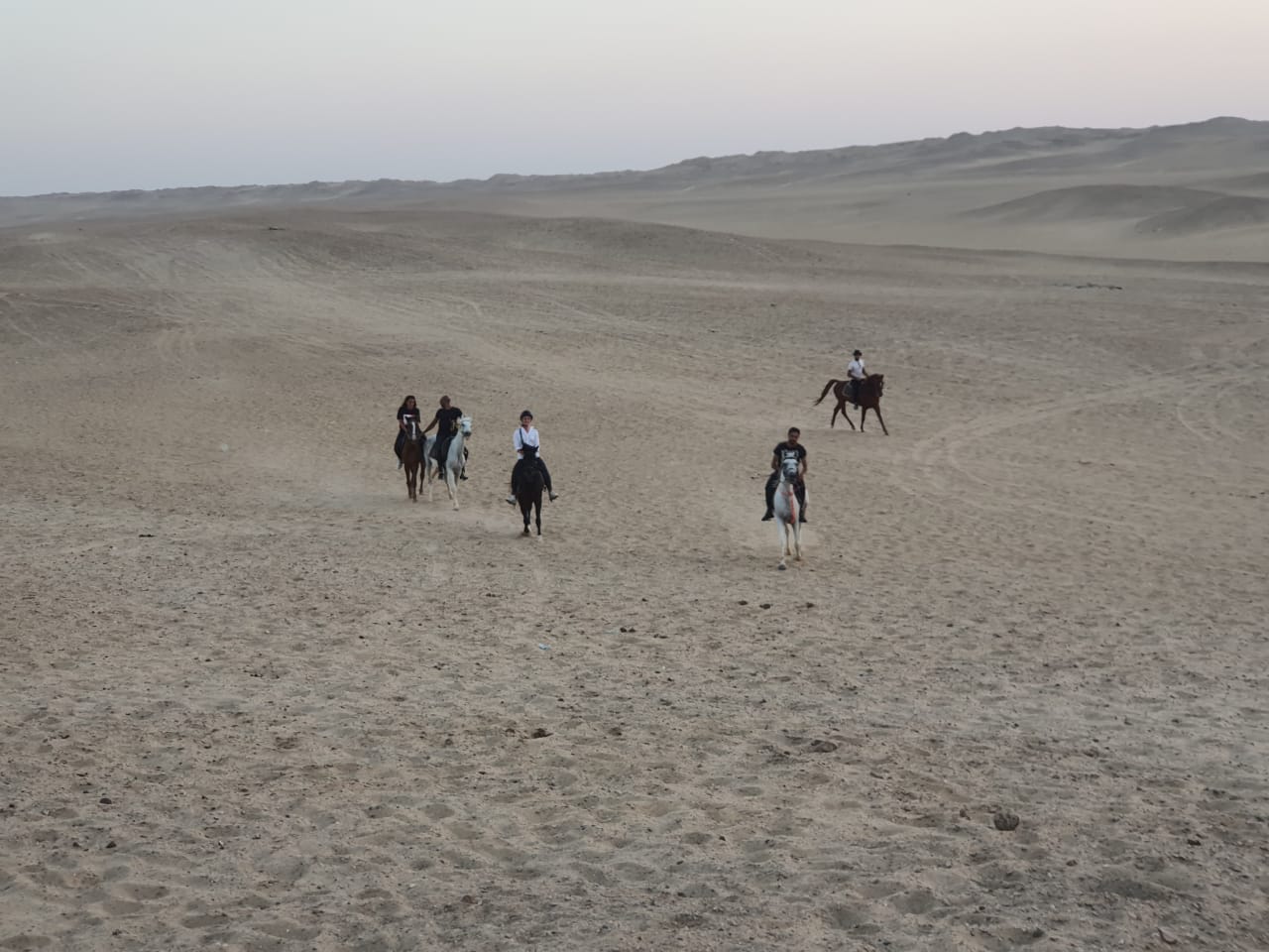 Cairo Horse Riding School – About us